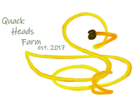 Quackhead Logo Duck On Drugs Funny Duck Pun Adult Pull Over Hoodie By